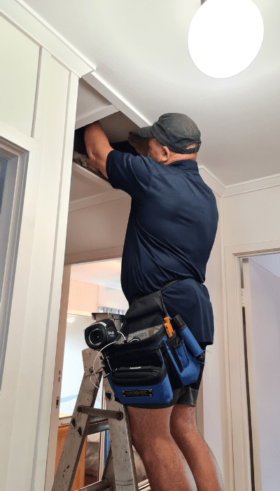 Cannon Hill Building and Pest Inspection - Call Dedant today